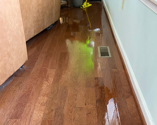 Home - Deep Cleaning Solution